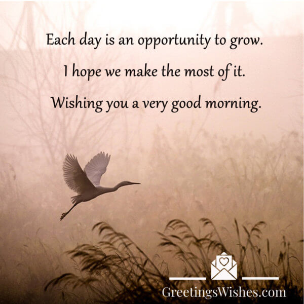 Good Morning Wishes - Greetings Wishes