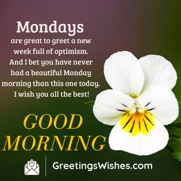 Monday Morning Wishes to Start the Week with Positivity - Greetings Wishes