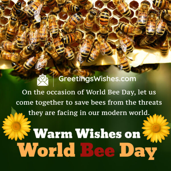 World Bee Day Wishes and Messages to Celebrate Pollinators (20th May ...