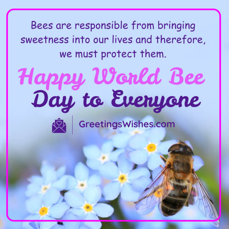 World Bee Day Wishes and Messages to Celebrate Pollinators (20th May ...