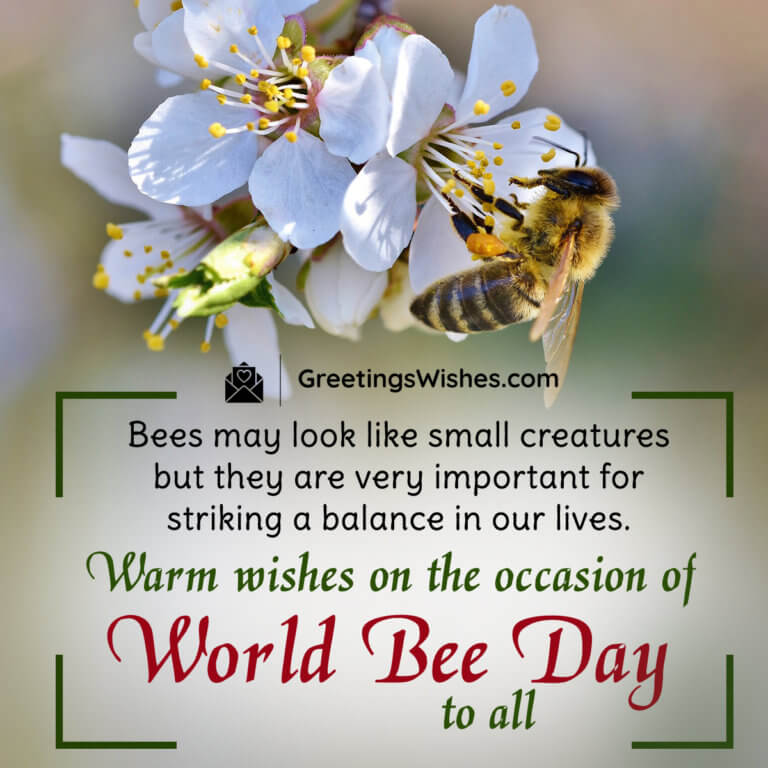World Bee Day Wishes and Messages to Celebrate Pollinators (20th May ...