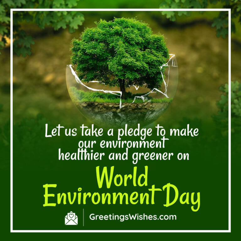 World Environment Day Wishes and Thoughtful Messages (05 June ...