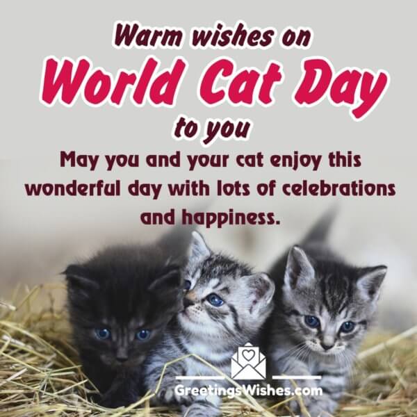 International Cat Day Messages And Quotes (8th August) - Greetings Wishes