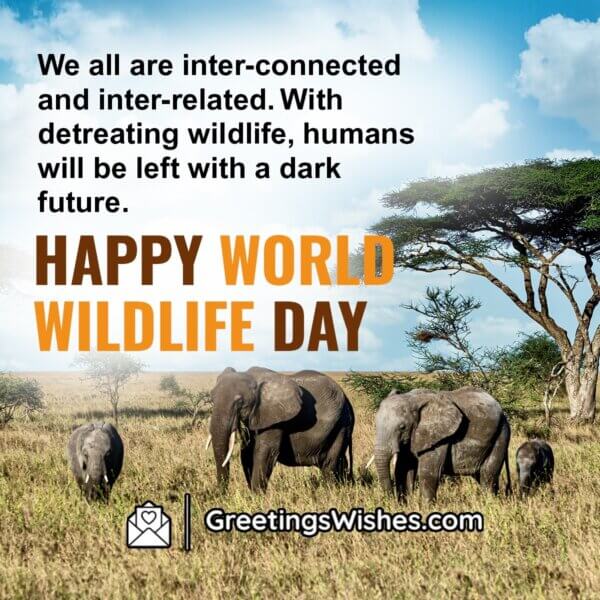 World Wildlife Day Messages and Quotes to Honor Nature ( 3 March ...