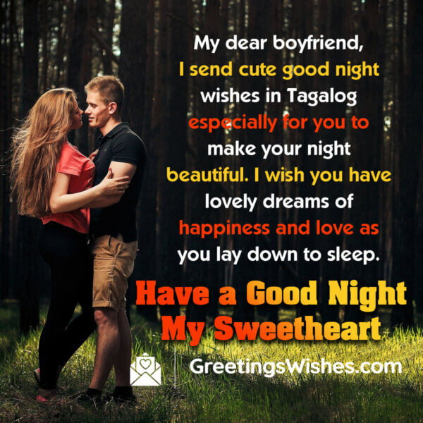 Sweet Good Night Messages for Your Boyfriend - Greetings Wishes