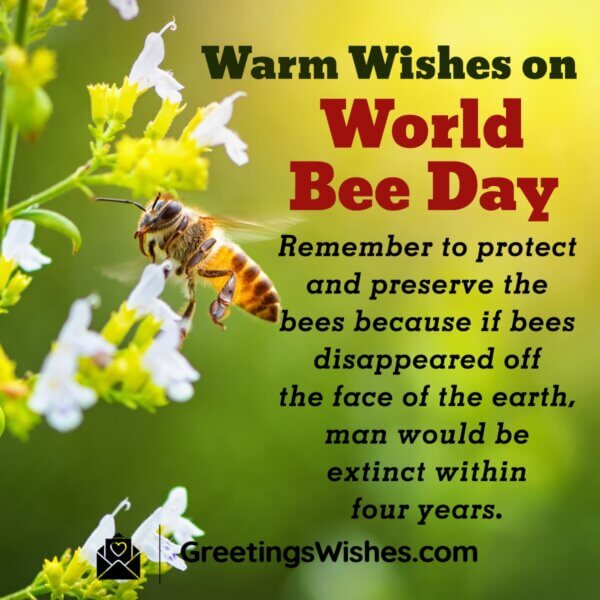 World Bee Day Wishes and Messages to Celebrate Pollinators (20th May ...