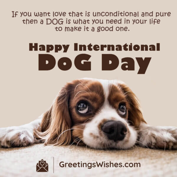 International Dog Day Wishes, Messages, and Quotes (26 August ...