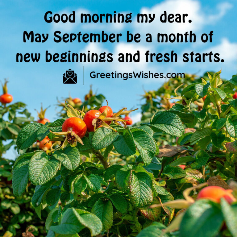 Happy September Month Wishes for Happiness, Hope, and Success ( 01 Sep ...